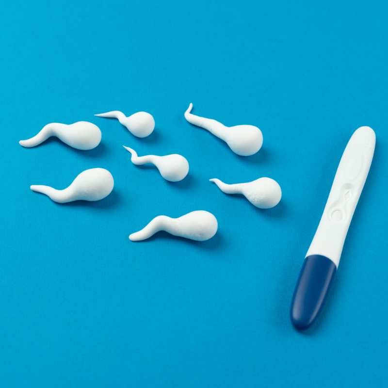 Asthénozoospermie (ou Asthénospermie) : causes, symptômes et traitements